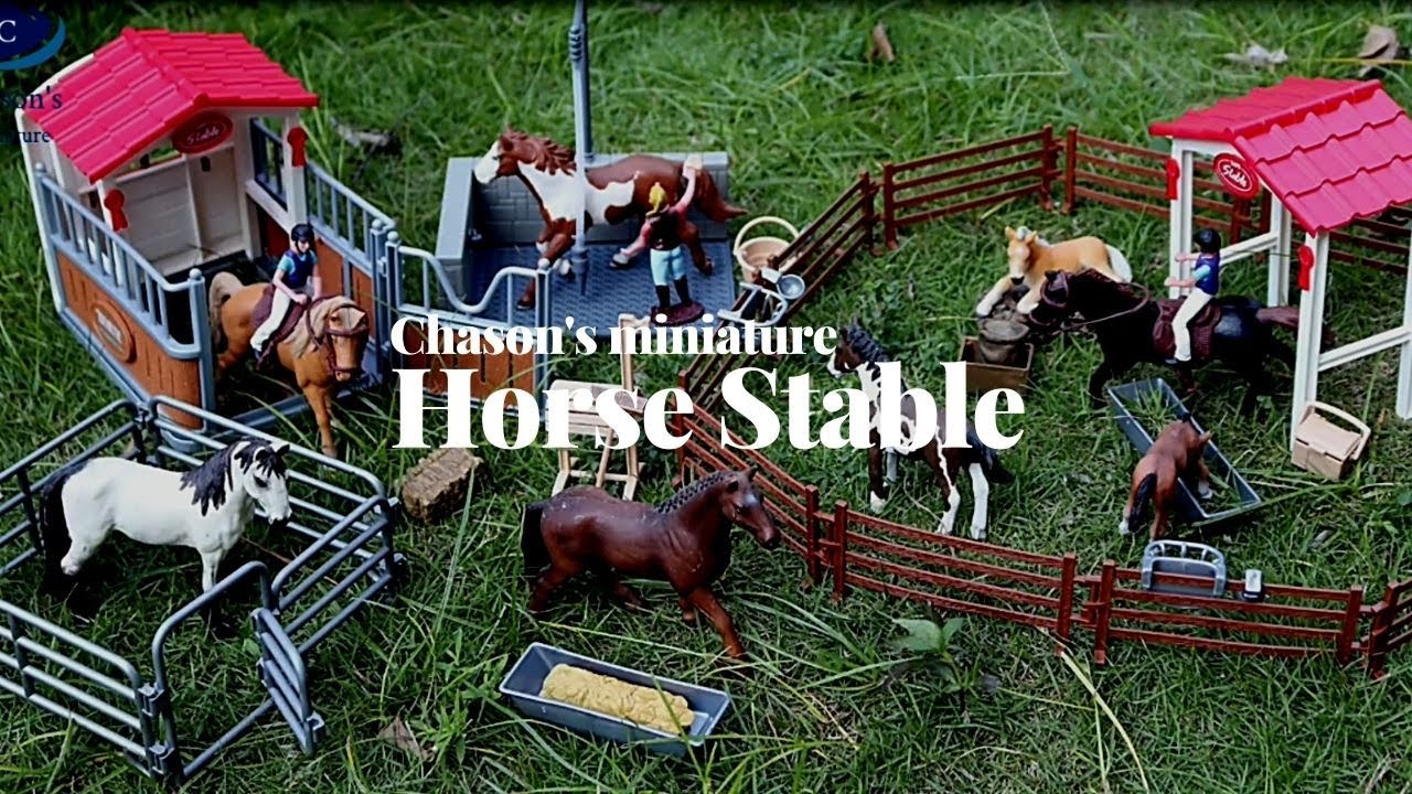 Miniature Horse Cowboy Stud Farm Stable - YouTube