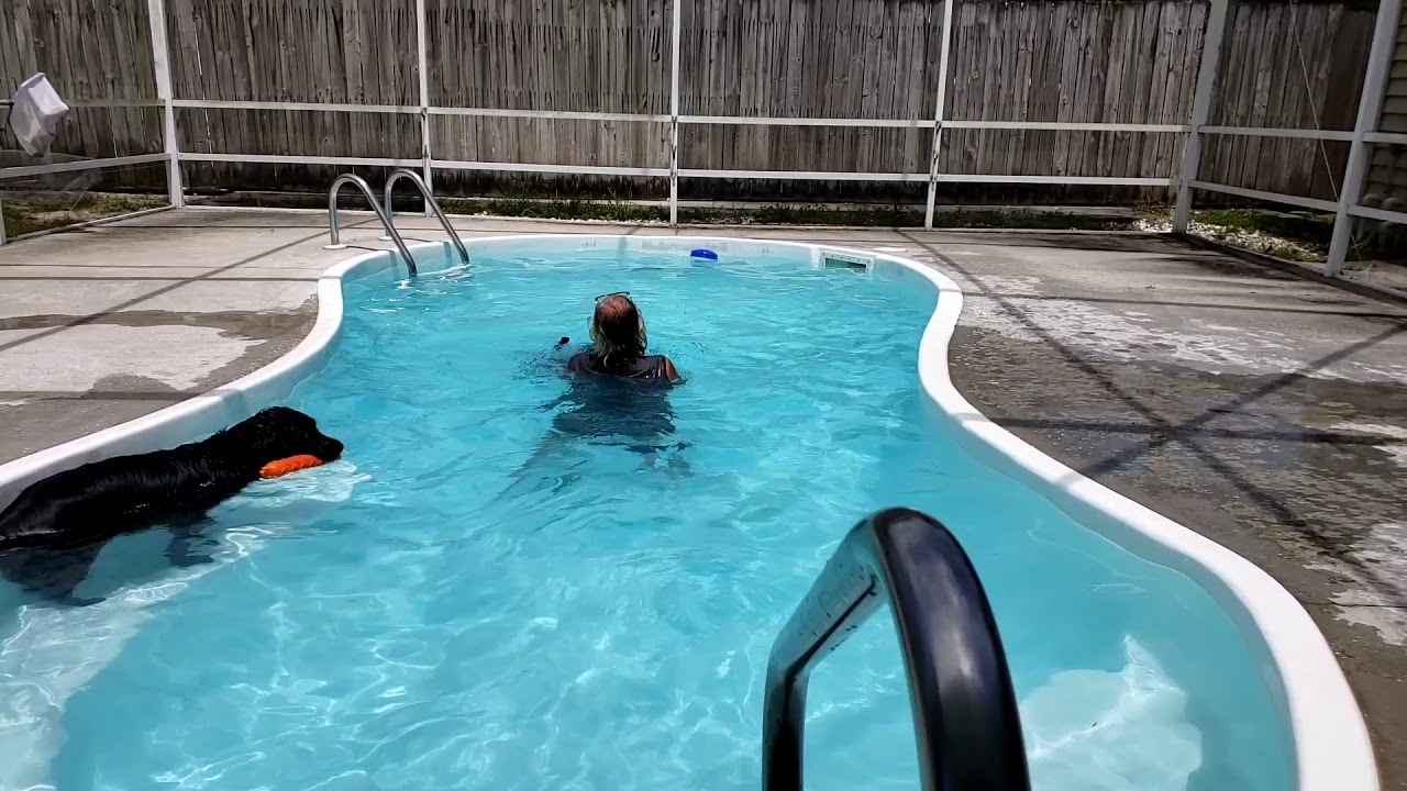 Levi gets a Swimming Lesson - YouTube