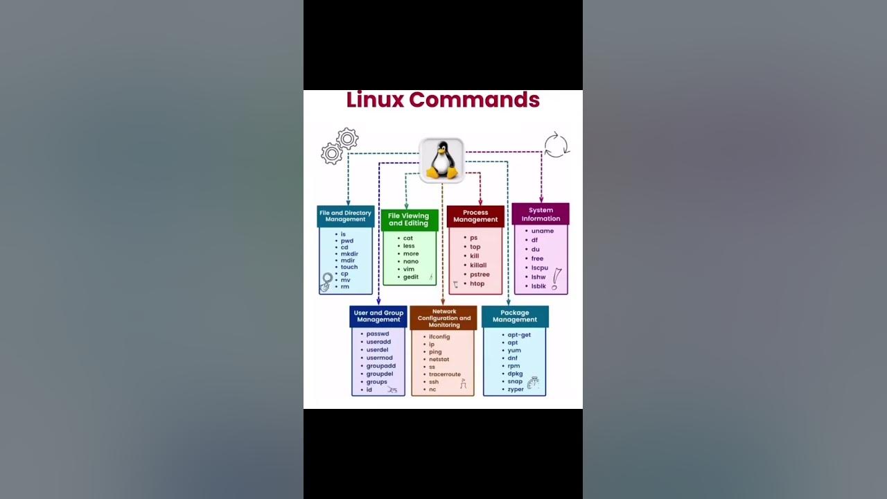 Linux_Commands___Learn_Linux__Linux_from_basic_to_advance_#linux_#shorts_#commands_#subscribe_# ...