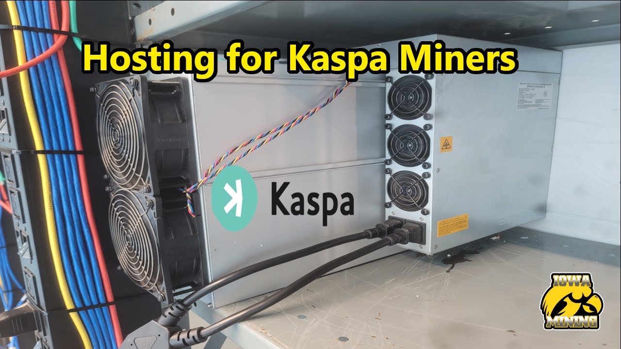 Kaspa Miner Hosting - YouTube
