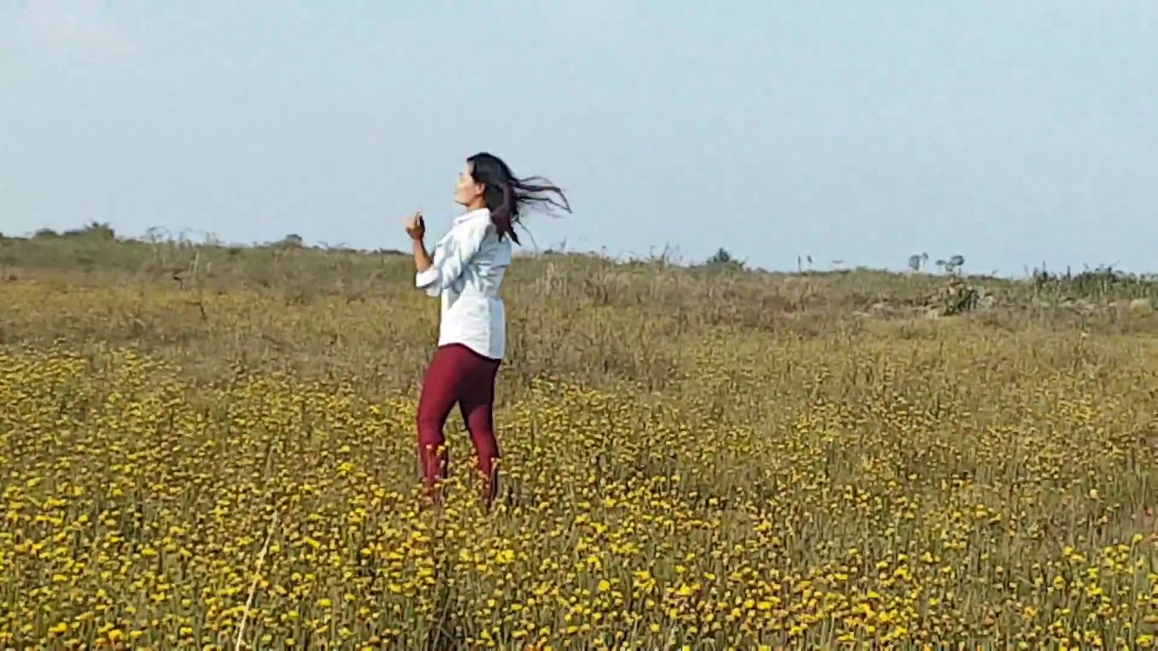 A beautiful girl riding on a lion - YouTube