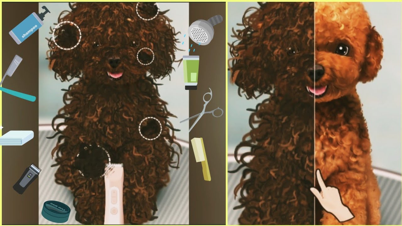 [ASMR] Homeless puppy transformation | ear cleaning | tick removal dog ...