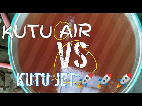 BEDA NYA KUTU AIR BIASA DENGAN KUTU AIR JET🚀🚀🚀 - YouTube