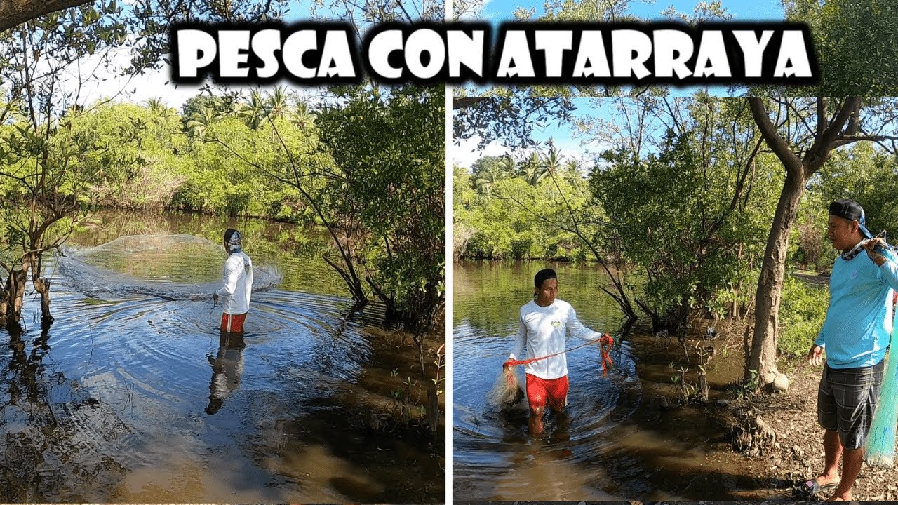 Pesca Con Atarraya En Los Esteros De GUATEMALA - YouTube