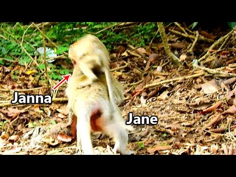 OMG! Never seen Janna furious Jane like this,Janna extremely cry very ...