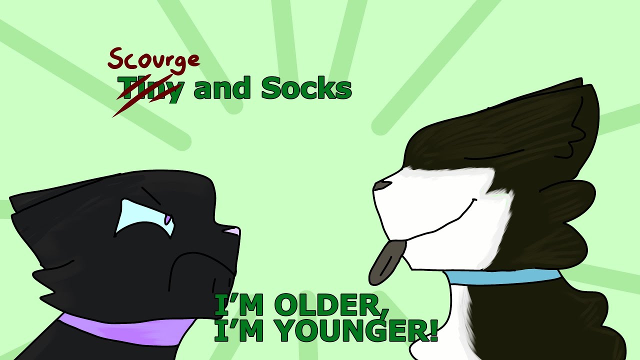 I’M OLDER, I’M YOUNGER | Scourge and Socks animation meme | 10 ...