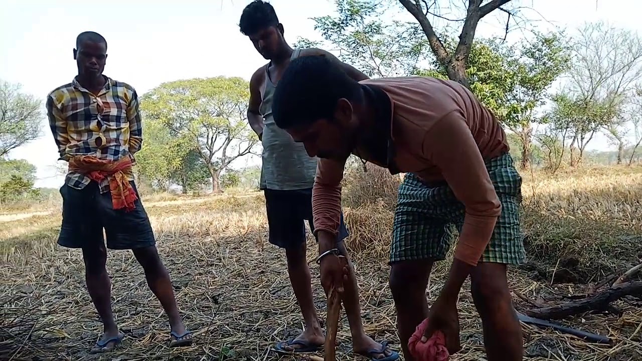 Amazing chicken exasperating. - YouTube