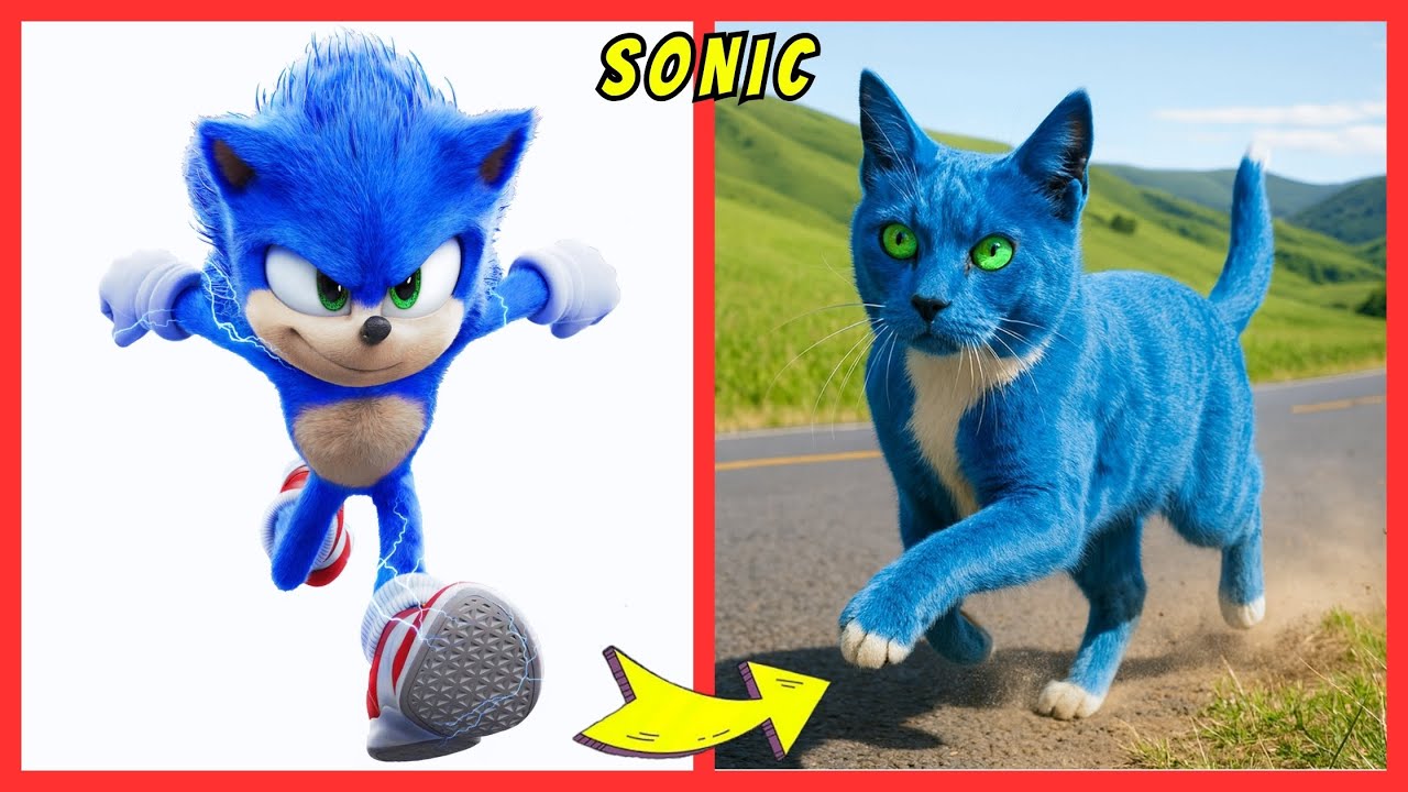 🦔Sonic Movie Characters Reimagined as Cats – Creative Edit 🐱🎬💙 - YouTube