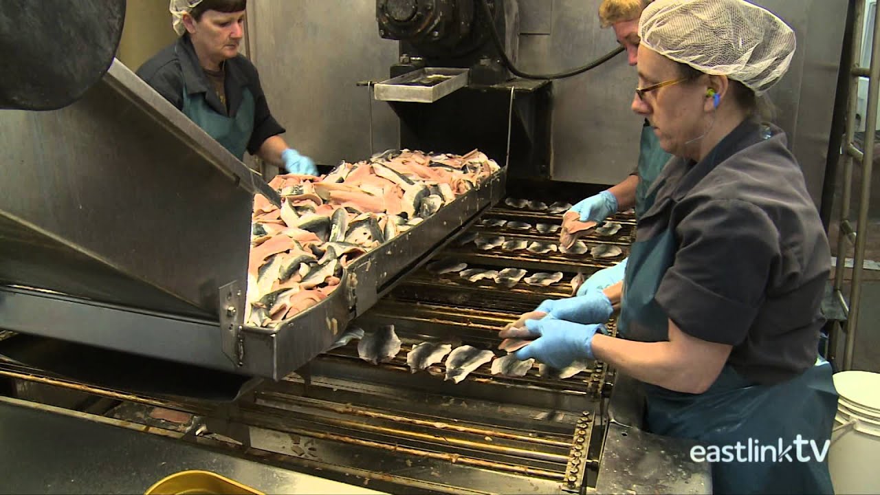 IMO Foods on Maritime Made - YouTube