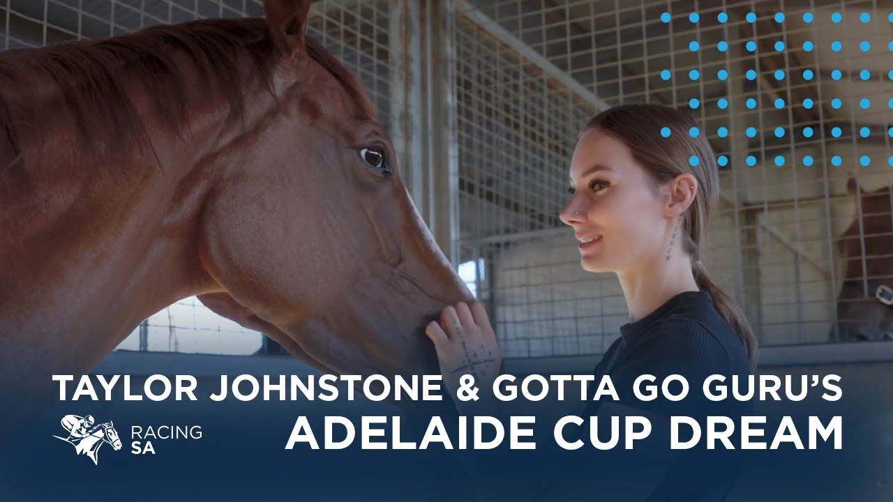 Gotta Go Guru & Taylor Johnstone seeking Adelaide Cup success - YouTube