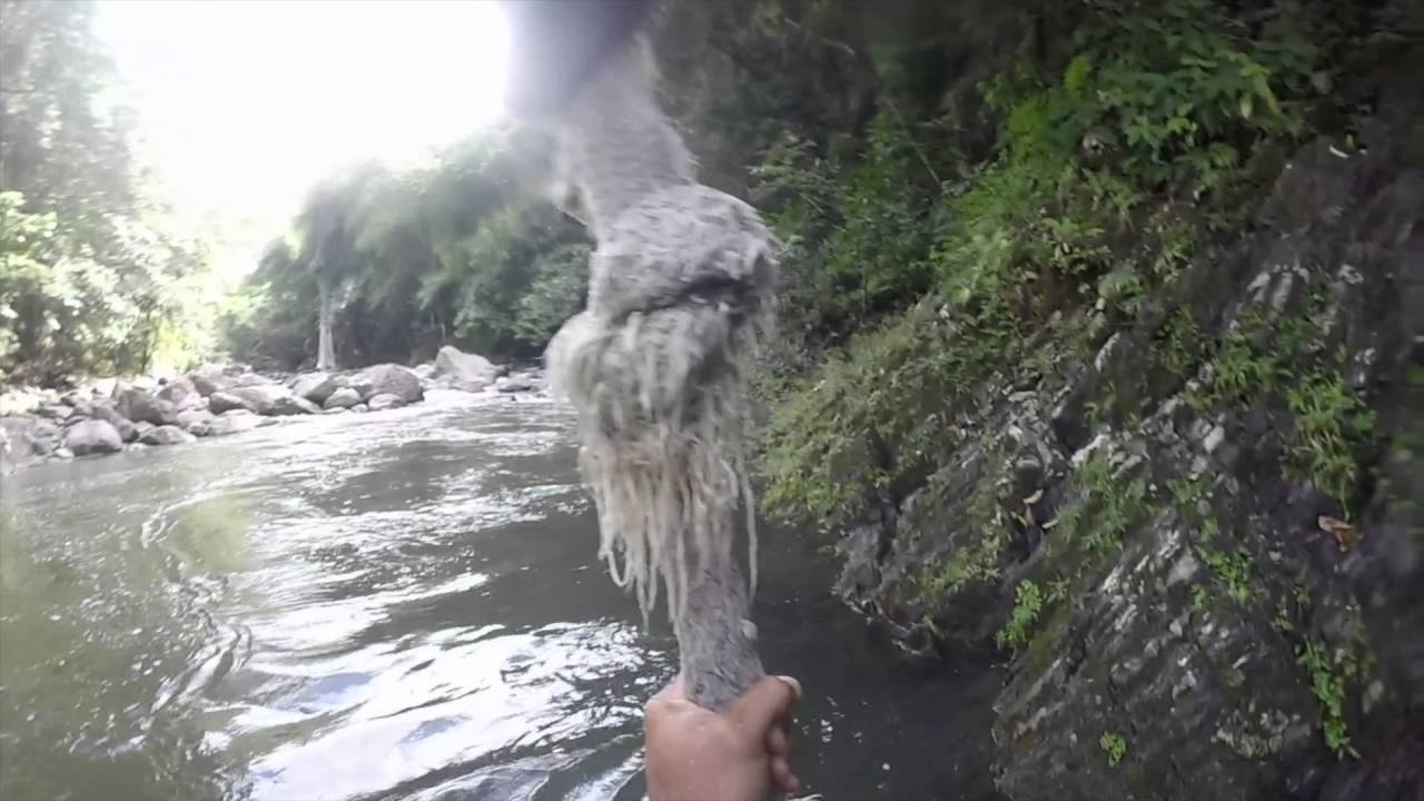 Vereda Angelito- Luquillo - YouTube