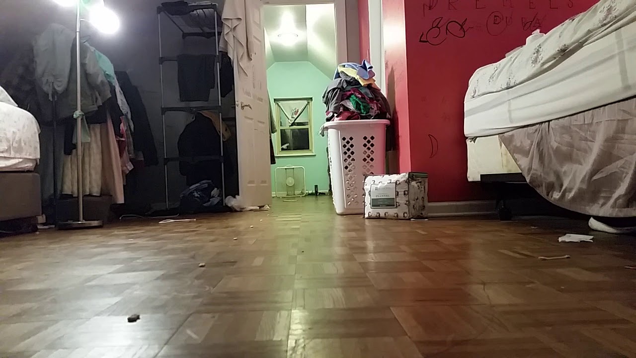 [Animusic] - Gyro Drums - YouTube