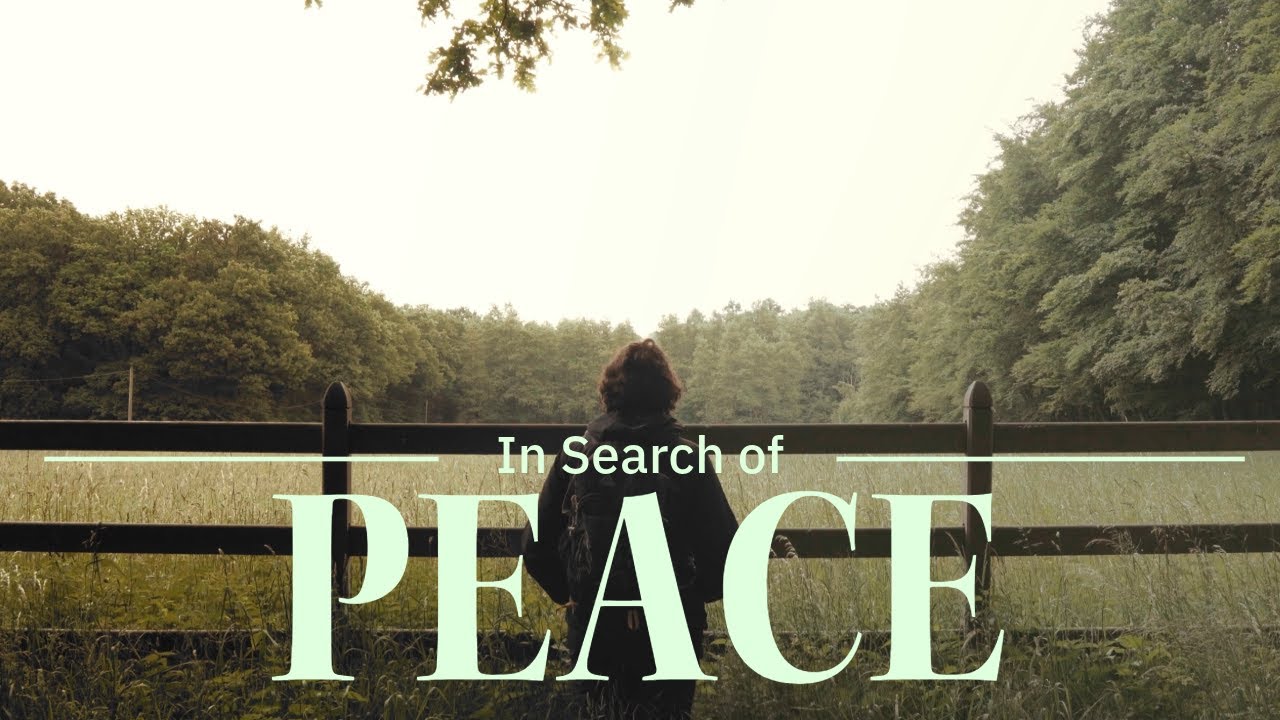 In Search of Peace | A Forest Journey with Uplifting Piano | 4K 24 fps ...
