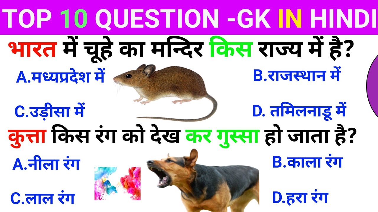 GK Top 10 Question | GK Quiz | GK Question and Answer | GK In Hindi ...
