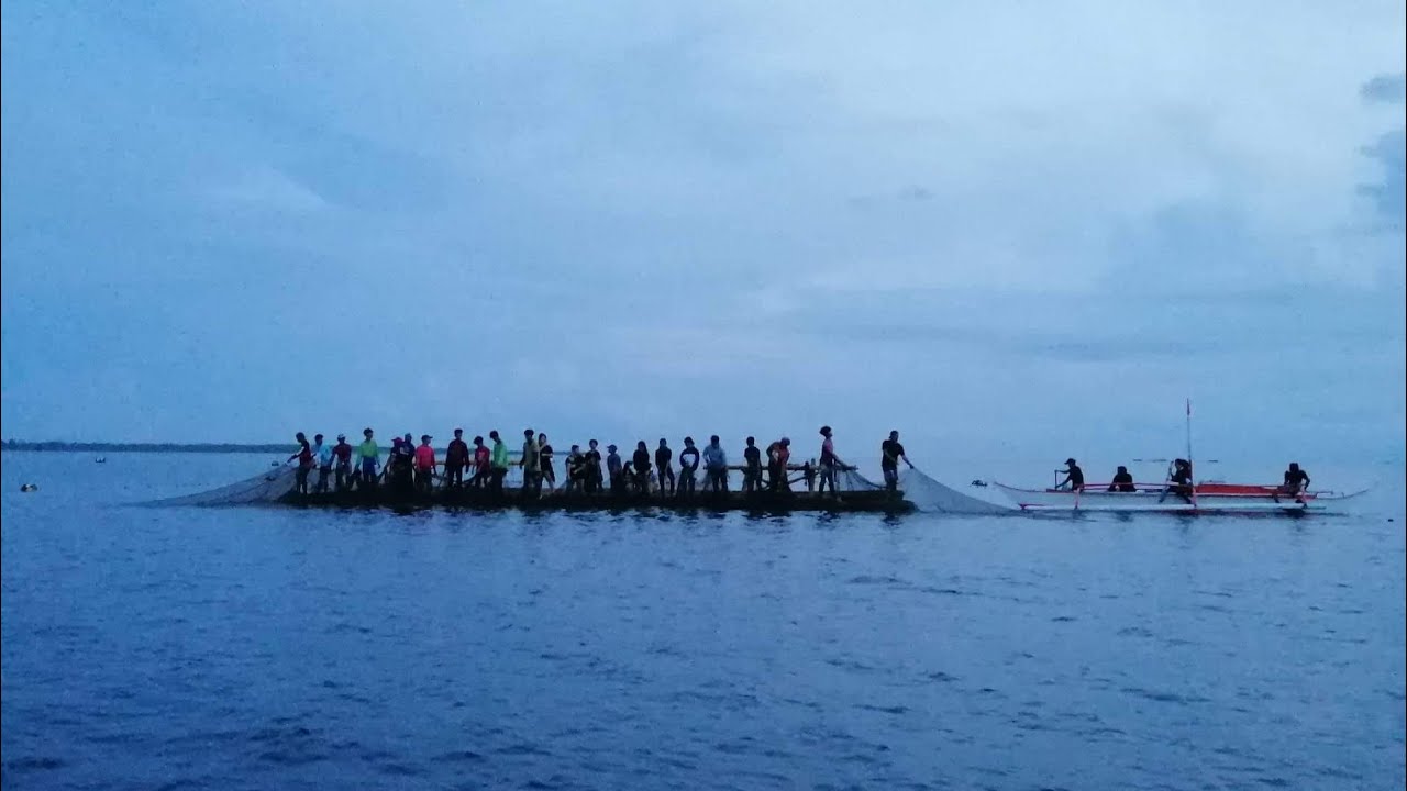Flying Sabalo (Milkfish Breeders) - YouTube