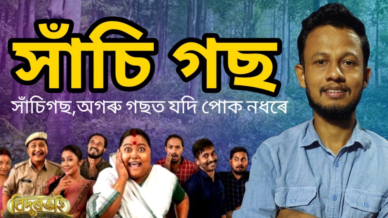 Sasi Tree Types, Benefits & Importance. সাঁচি গছত টকা আছে । Total guide ...