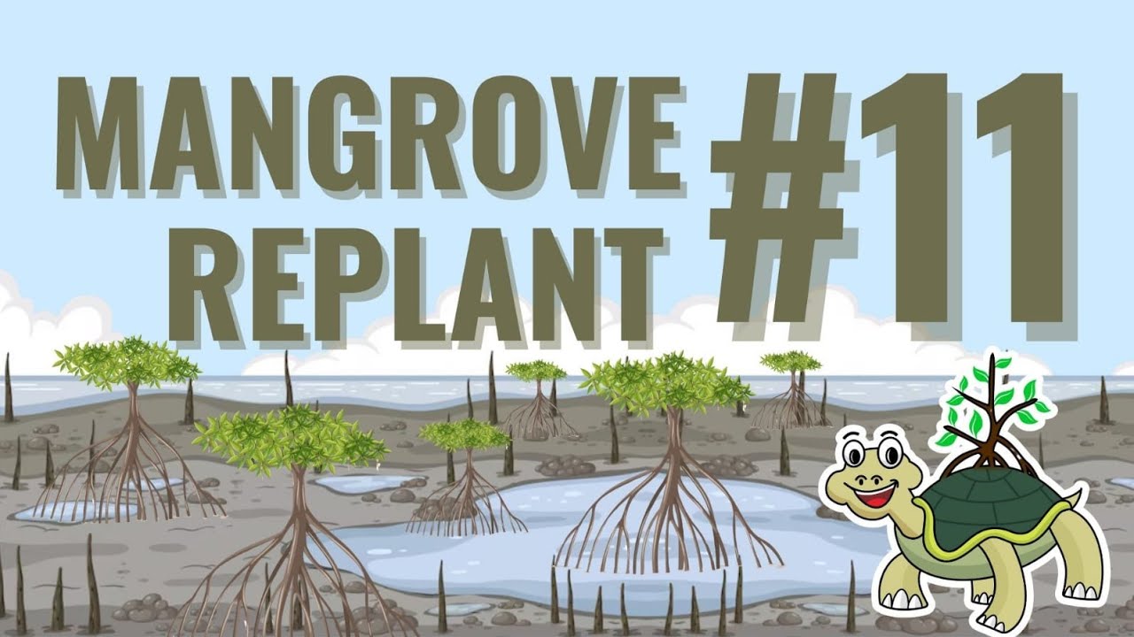 Video Animasi Mangrove Replant 11 - YouTube