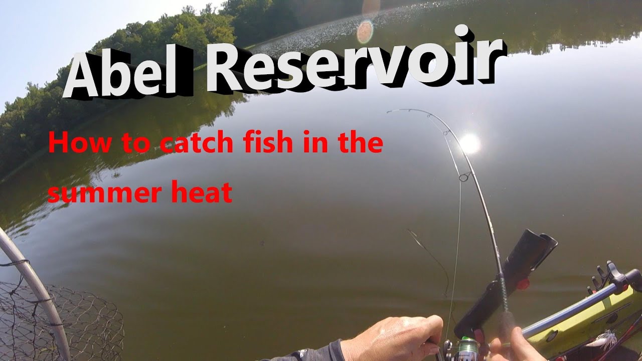 How to catch fish in the hot summer days - Abel Reservoir - YouTube