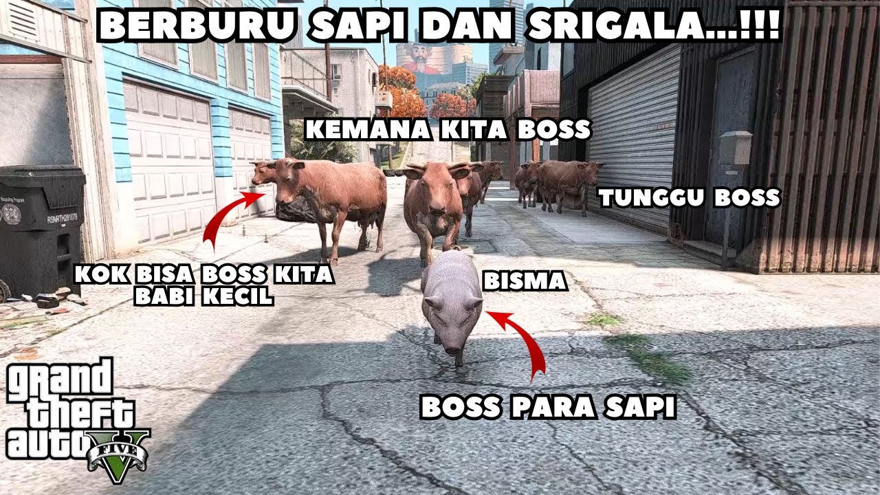 BERBURU SAPI BERSAMA YANTO - GTA V ROLEPLAY - YouTube