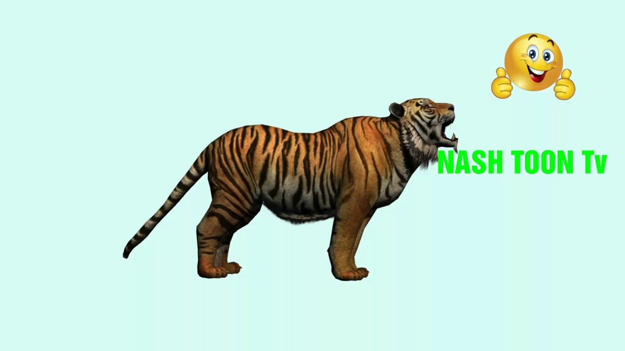 wrong shadow matching game for toddlers | wheels on the bus go round ...