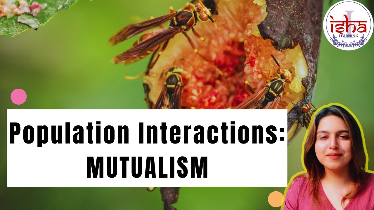 Population interactions: Mutualism #ecology #class12biology # ...