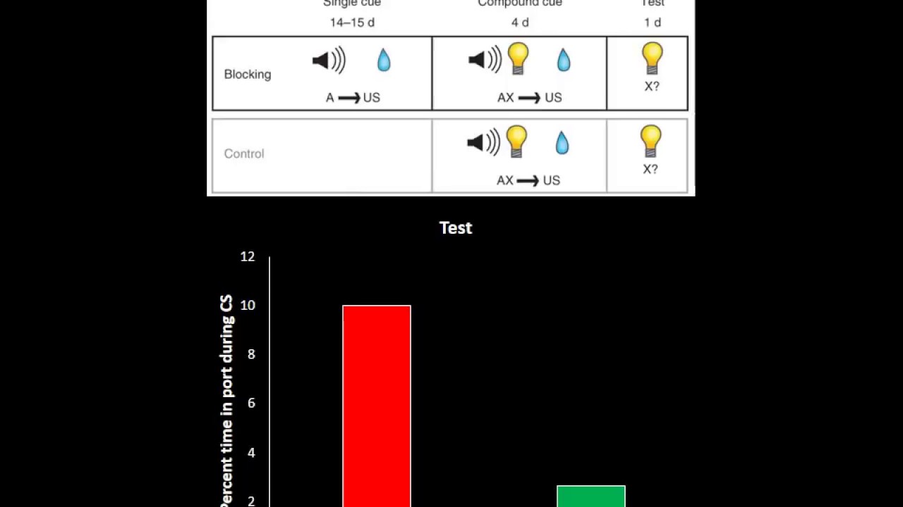 Rescorla-Wagner Model - YouTube