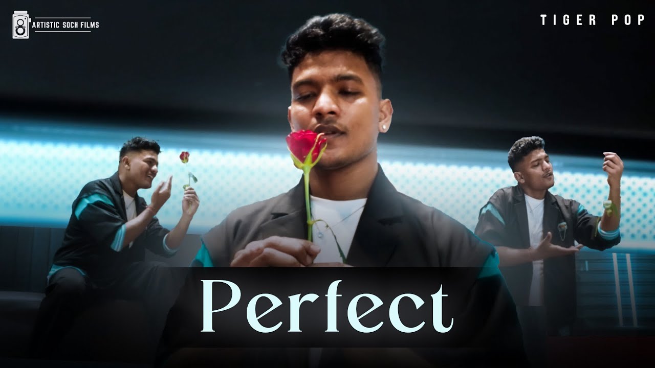 Ed Sheeran - Perfect | Tiger Pop Dance - YouTube
