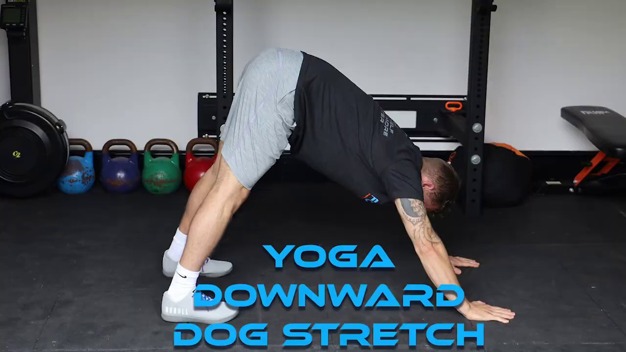 Downward Dog Stretch - YouTube