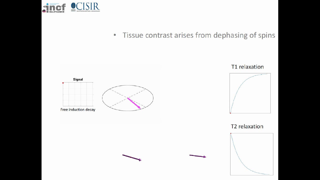 Introduction to MRI Imaging for Connectomics - YouTube