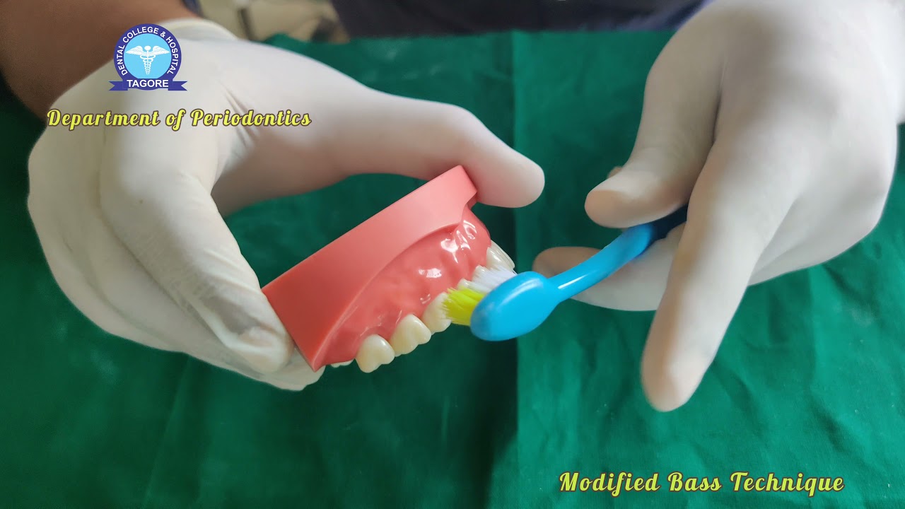 Modified Bass Toothbrushing Technique - YouTube