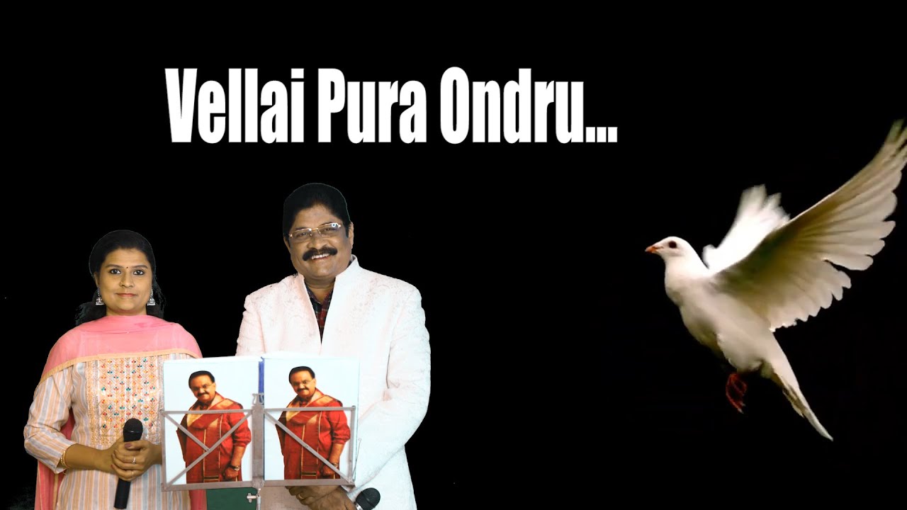 🕊️Vellai Pura Ondru . வெள்ளை புறா ஒன்று...Puthu Kavithai🎈 SP.SUNDAR ...