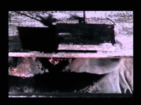 Lucio Fulcis Zombie 2 - 1979 Theatrical Trailer - YouTube