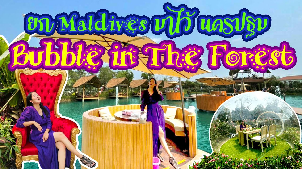 Bubble in The Forest, บับเบิ้ล อิน เดอะ ฟอเรสต์ คาเฟ่เปิดใหม่ นครปฐม ...