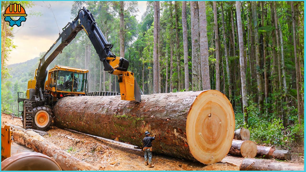 125 Incredible Fastest Big Chainsaw Cutting Tree Machines - YouTube