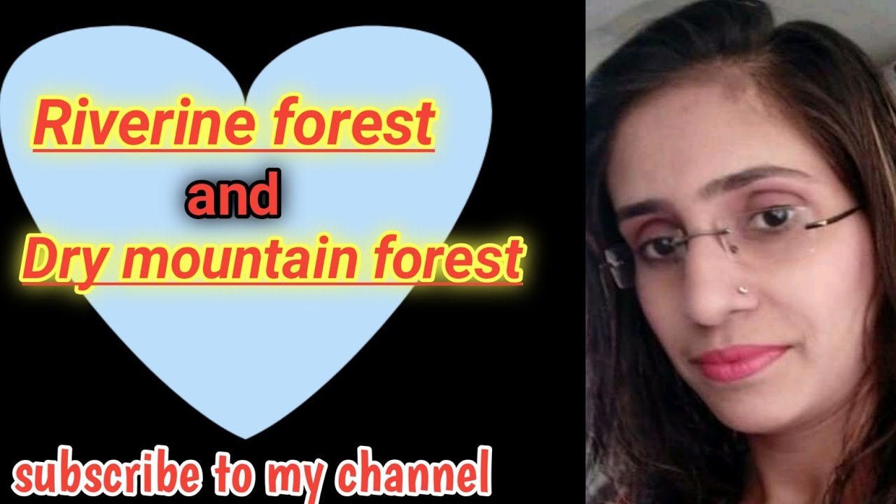 Dry mountain forest and Riverine forest - part 3 - YouTube