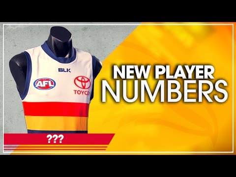 New Player Numbers Revealed - YouTube