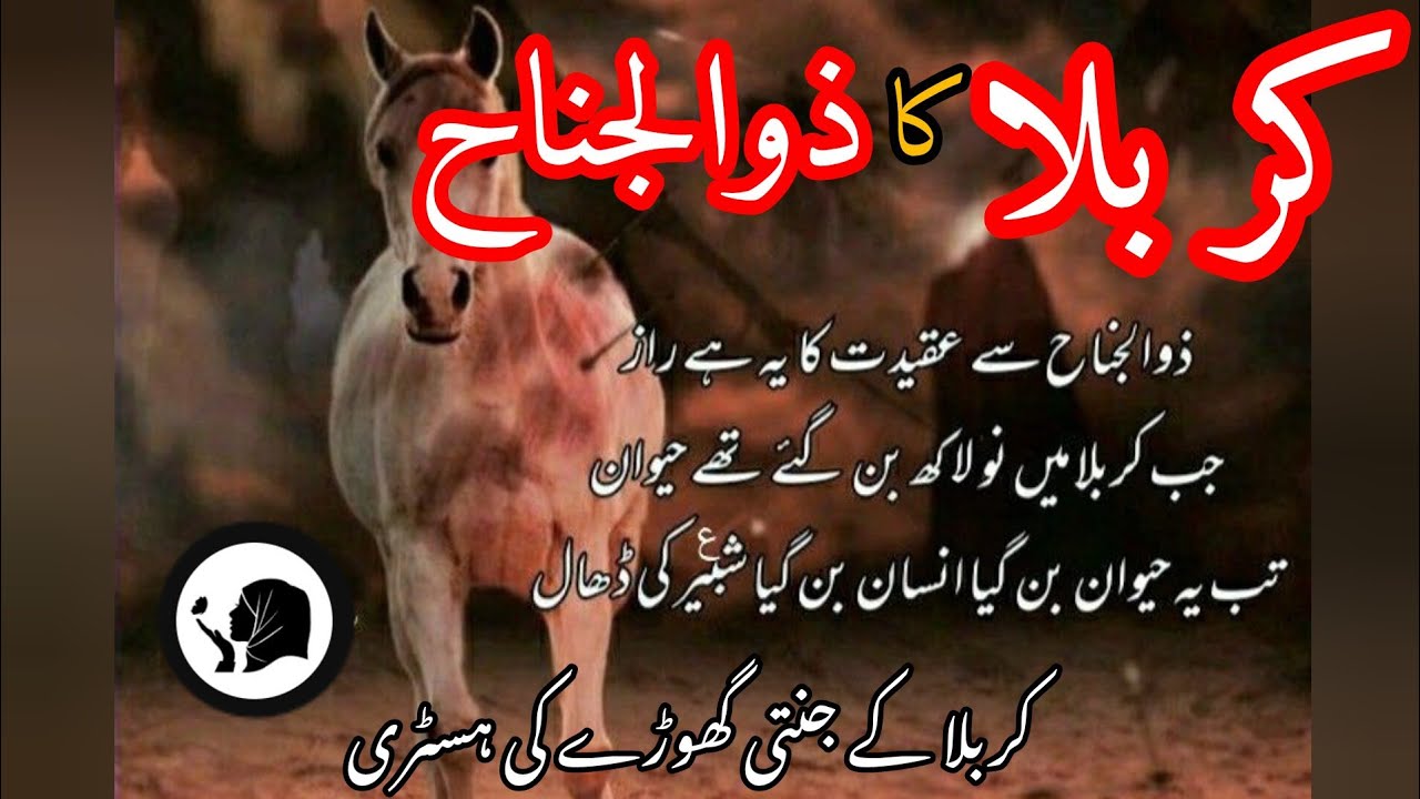 History of Heaven Horse of Hazrat Imam Hussain(Zuljinah ) کربلا کا ...