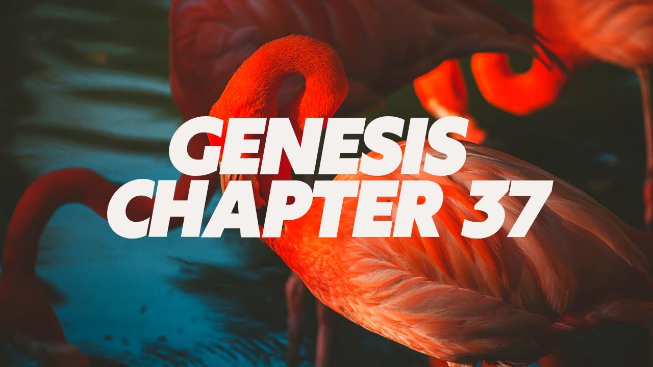 GENESIS | Chapter 37 - YouTube
