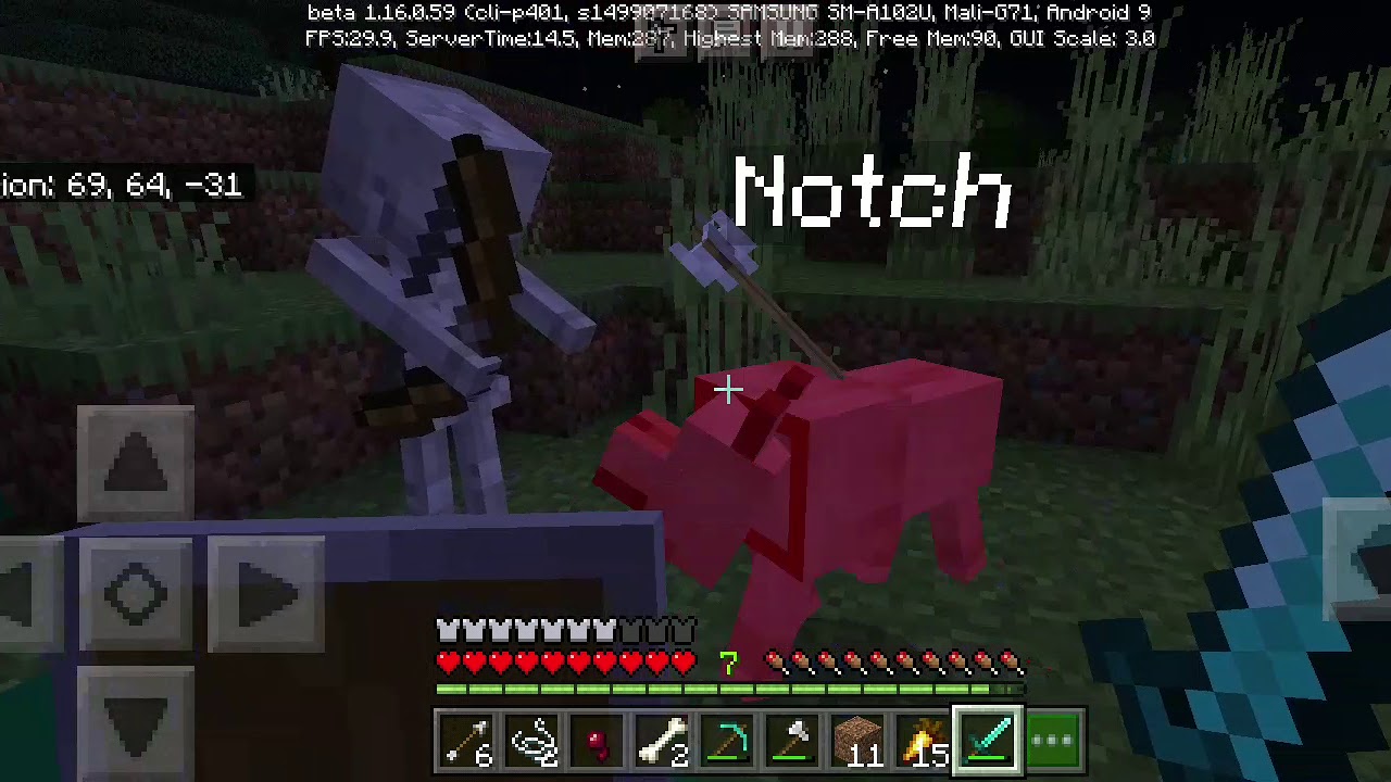 Minecraft drowned king let's play episode 16 : My dog Notch's demise ...