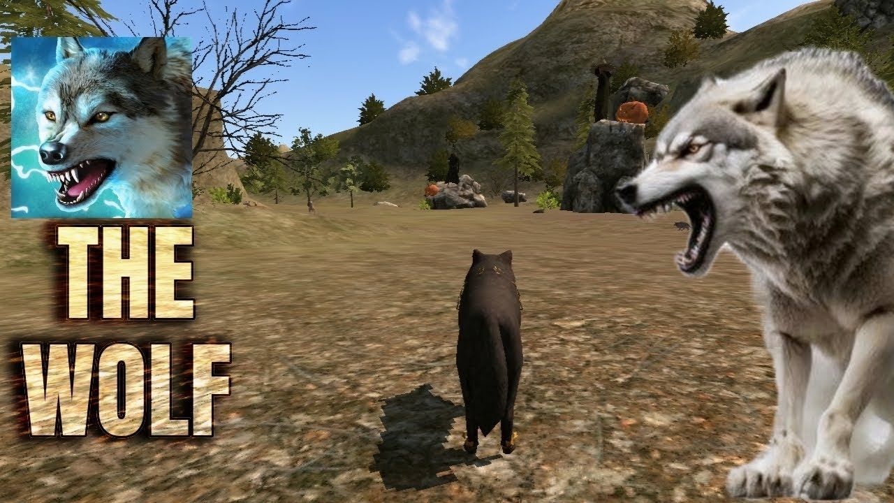 I BECOME WOLF FOR A DAY || THE WOLF - YouTube