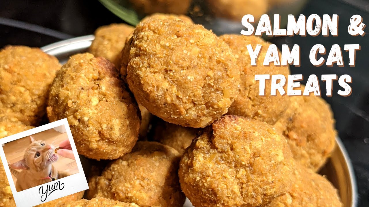 Homemade Salmon & Yam Cat Treats 😺 | Easy & Healthy Recipe | Bake with ...