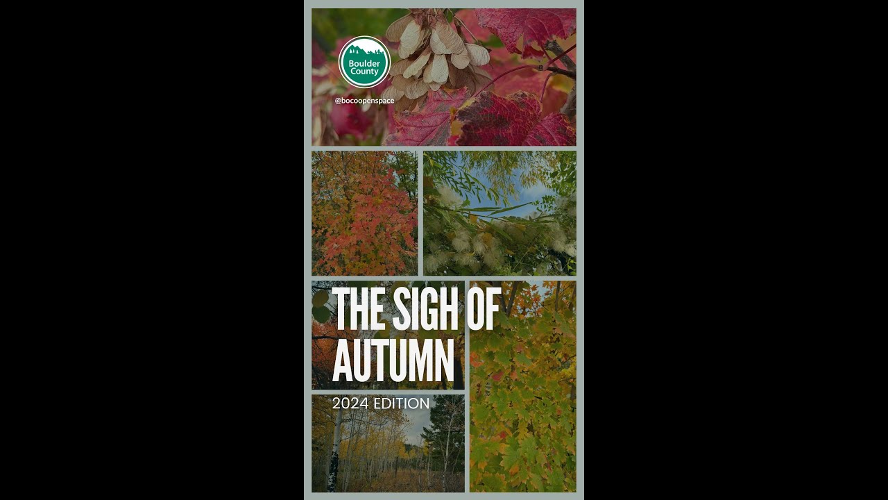 The Sigh of Autumn - YouTube