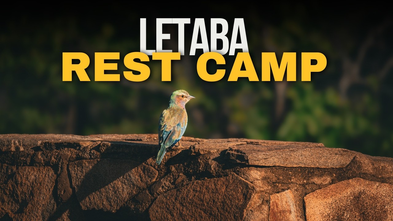 Letaba Rest Camp Kruger National Park | Full Camp Tour & Review - YouTube