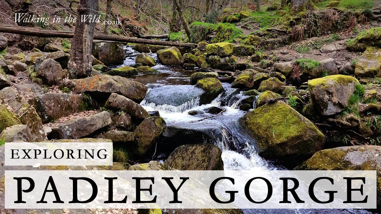 Peak District Walks: Padley Gorge - YouTube