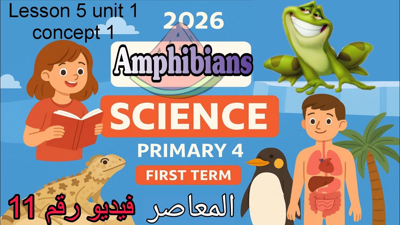 Lesson 5 unit 1 Concept 1 |Amphibians| science primary 4 first term ...