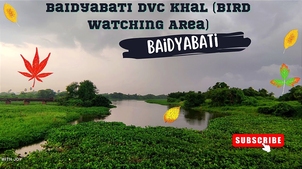 Baidyabati DVC Khal Bird Watching Area In Baidyabati Hooghly West ...