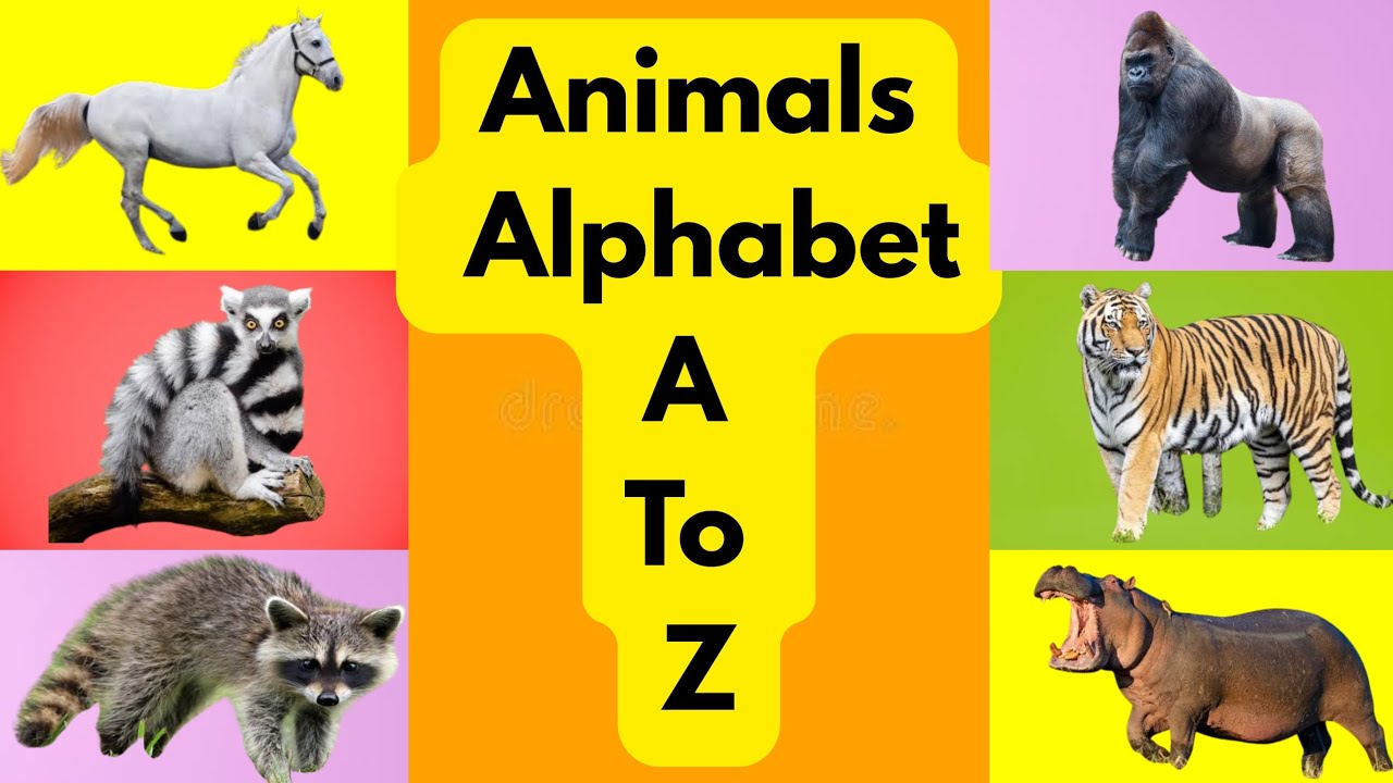 Animals Alphabet A To Z l for Children l Learn ABC with Animals for ...