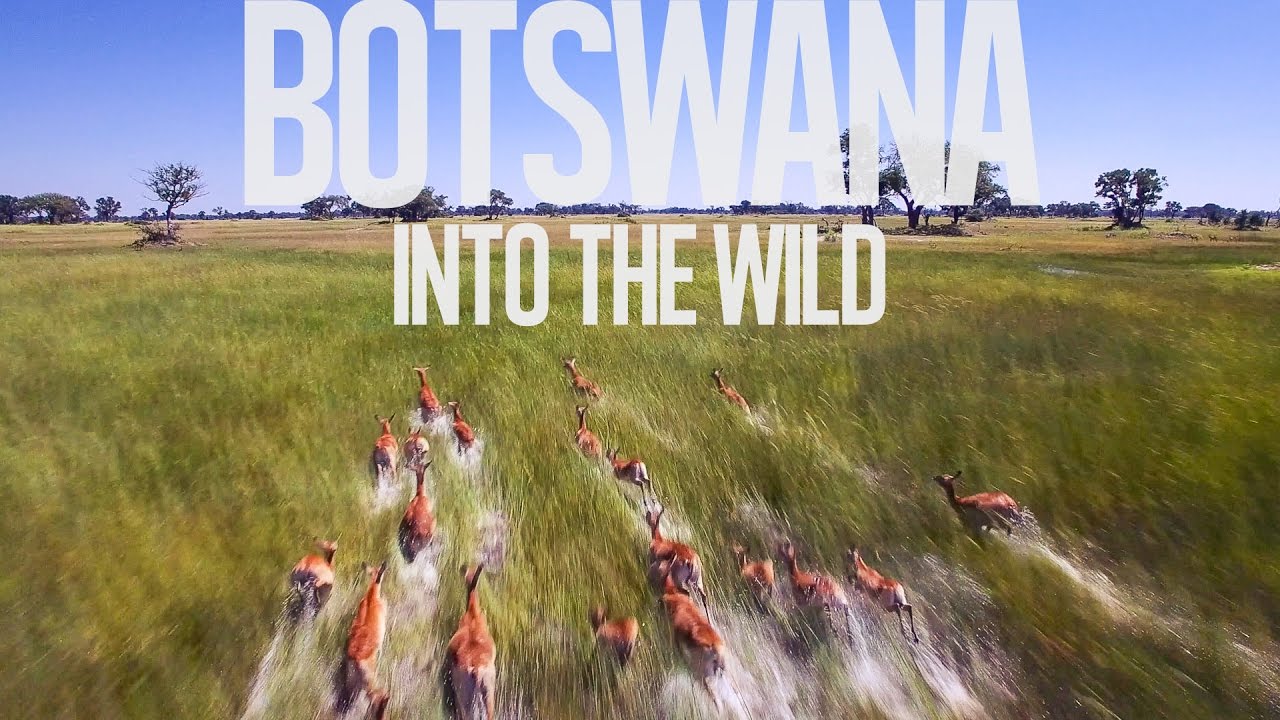 Botswana - Into The Wild - YouTube
