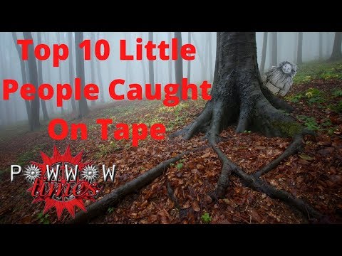 Top 10 Little People Caught On Tape | Powwow Times