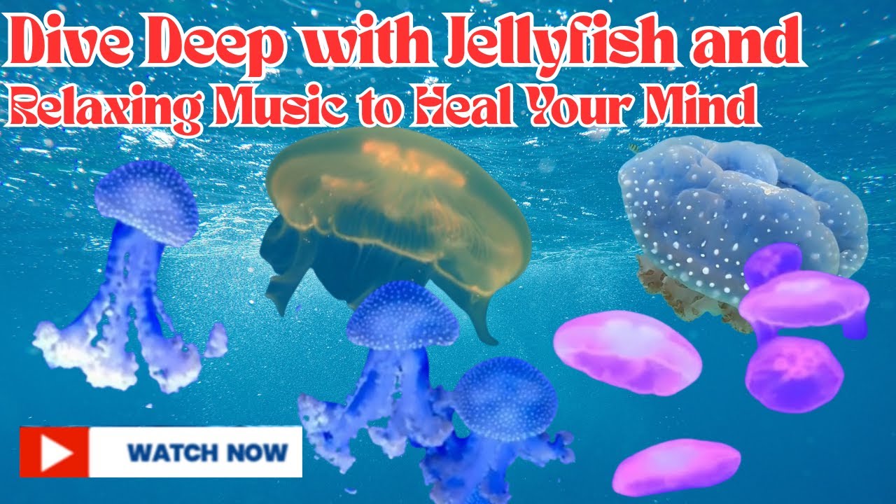 Dive Deep with Jellyfish and Relaxing Music to Heal Your Mind Nature ...